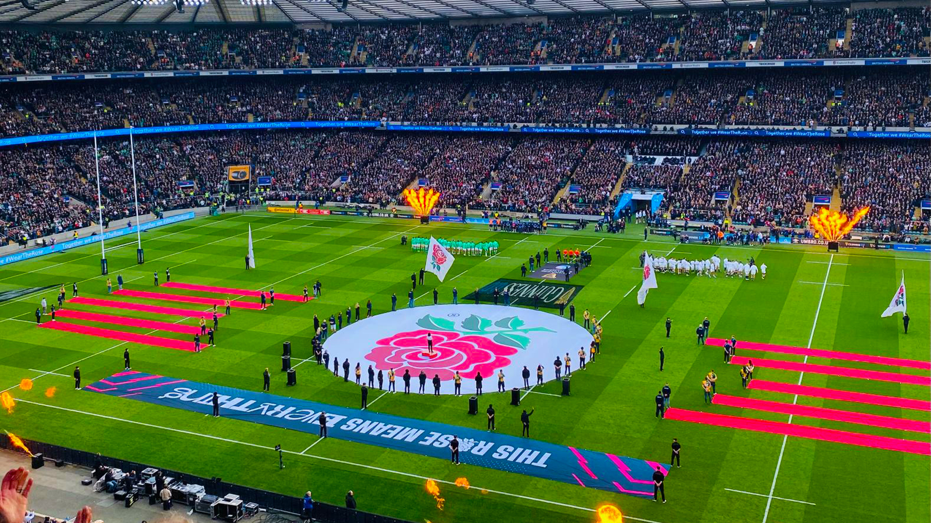 England Rugby - This Rose Means Everything - MATTA